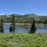 Silver Lake Loop Trail, Utah - 1,687 Reviews, Map | AllTrails