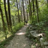 Echo River Spring and Sinkhole Loop, Kentucky - 825 Reviews, Map ...