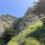 Ragged Point Inn Trail, California - 166 Reviews, Map | AllTrails