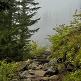 Ira Spring Memorial Trail, Washington - 2,260 Reviews, Map | AllTrails