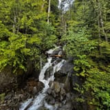 Ira Spring Memorial Trail, Washington - 2,260 Reviews, Map | AllTrails