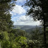 Cossey Massey Loop Track, Auckland, New Zealand - 889 Reviews, Map ...