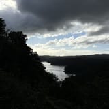 Cossey Massey Loop Track, Auckland, New Zealand - 889 Reviews, Map ...