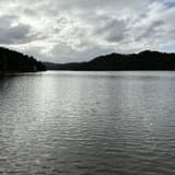 Cossey Massey Loop Track, Auckland, New Zealand - 889 Reviews, Map ...