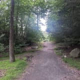 Bull Wheel to High Peter's Kill Trail, New York - 1,174 Reviews, Map ...