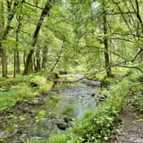 Lydford Gorge Walk, White Lady Waterfall, and Lydford Castle Circular ...