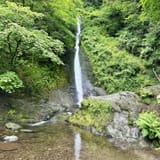 Lydford Gorge Walk, White Lady Waterfall, and Lydford Castle Circular ...