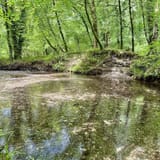 Lydford Gorge Walk, White Lady Waterfall, and Lydford Castle Circular ...
