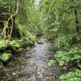 Lydford Gorge Walk, White Lady Waterfall, and Lydford Castle Circular ...