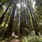 Bootjack Loop, California - 1,864 Reviews, Map | AllTrails