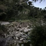 Cold Spring Loop, California - 2,324 Reviews, Map | AllTrails