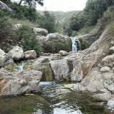 Cold Spring Loop, California - 2,324 Reviews, Map | AllTrails