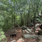 Sunset Rocks Trail, Pennsylvania - 1,038 Reviews, Map | AllTrails
