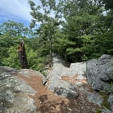 Sunset Rocks Trail, Pennsylvania - 1,038 Reviews, Map | AllTrails