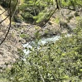 Old Flume Trail (Red Shack Trail), California - 810 Reviews, Map ...