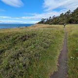 Iceberg Point Trail, Washington - 352 Reviews, Map | AllTrails