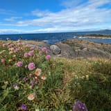 Iceberg Point Trail, Washington - 336 Reviews, Map | AllTrails