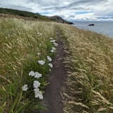 Iceberg Point Trail, Washington - 352 Reviews, Map | AllTrails