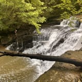 Window Cliffs Trail, Tennessee - 1,504 Reviews, Map | AllTrails