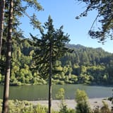 Myrtle Tree Trail, Oregon - 57 Reviews, Map | AllTrails
