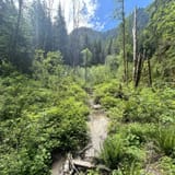 Middle Fork Snoqualmie River Trail, Washington - 1,105 Reviews, Map ...