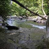 Meadow Run Trail, Pennsylvania - 1,258 Reviews, Map | AllTrails