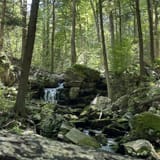 Zoar Trail, Connecticut - 2,339 Reviews, Map | AllTrails