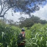Ka'Awaloa - Captain Cook Monument Trail, Hawaii, Hawaii - 2,993 Reviews ...