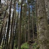 Mount Washington Trail, Washington - 2,929 Reviews, Map | AllTrails