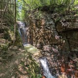 Devil's Racetrack Trail, Tennessee - 599 Reviews, Map | AllTrails