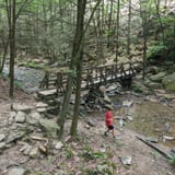 Devil's Racetrack Trail, Tennessee - 599 Reviews, Map | AllTrails