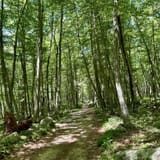 Bluff Point State Park and Coastal Reserve Loop, Connecticut - 3,989 ...