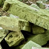 Cumberland Monastery Trail, Rhode Island - 2,058 Reviews, Map | AllTrails