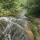 Chapel Beach Loop, Michigan - 791 Reviews, Map | AllTrails