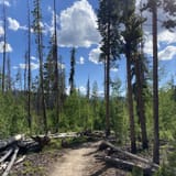 Yankee Doodle Trail, Colorado - 750 Reviews, Map | AllTrails