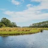 Bulow Woods Hiking Trail, Florida - 227 Reviews, Map | AllTrails