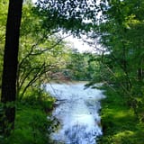 Lake Pine Loop, North Carolina - 1,291 Reviews, Map | AllTrails