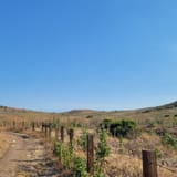 Quail Loop Trail, California - 1,624 Reviews, Map | AllTrails
