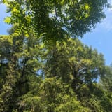 Genesee County Park and Forest Trail, New York - 284 Reviews, Map ...