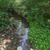 Genesee County Park and Forest Trail, New York - 284 Reviews, Map ...