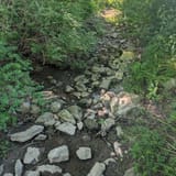 Genesee County Park and Forest Trail, New York - 284 Reviews, Map ...