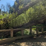 Genesee County Park and Forest Trail, New York - 284 Reviews, Map ...