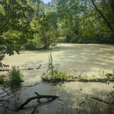 Genesee County Park and Forest Trail, New York - 282 Reviews, Map ...