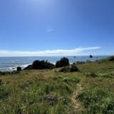 Blacklock Point Trail, Oregon - 411 Reviews, Map | AllTrails