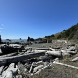 Blacklock Point Trail, Oregon - 398 Reviews, Map | AllTrails