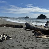 Blacklock Point Trail, Oregon - 398 Reviews, Map | AllTrails