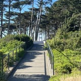 Bay Area Ridge Trail: San Francisco Presidio, California - 707 Reviews ...