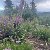 Lower Macleay Park to Pittock Mansion, Oregon - 4,554 Reviews, Map ...