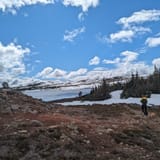 Rainbow Range Trail, British Columbia, Canada - 74 Reviews, Map | AllTrails