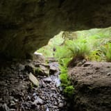 Santiam Wagon Road to House Rock, Oregon - 472 Reviews, Map | AllTrails